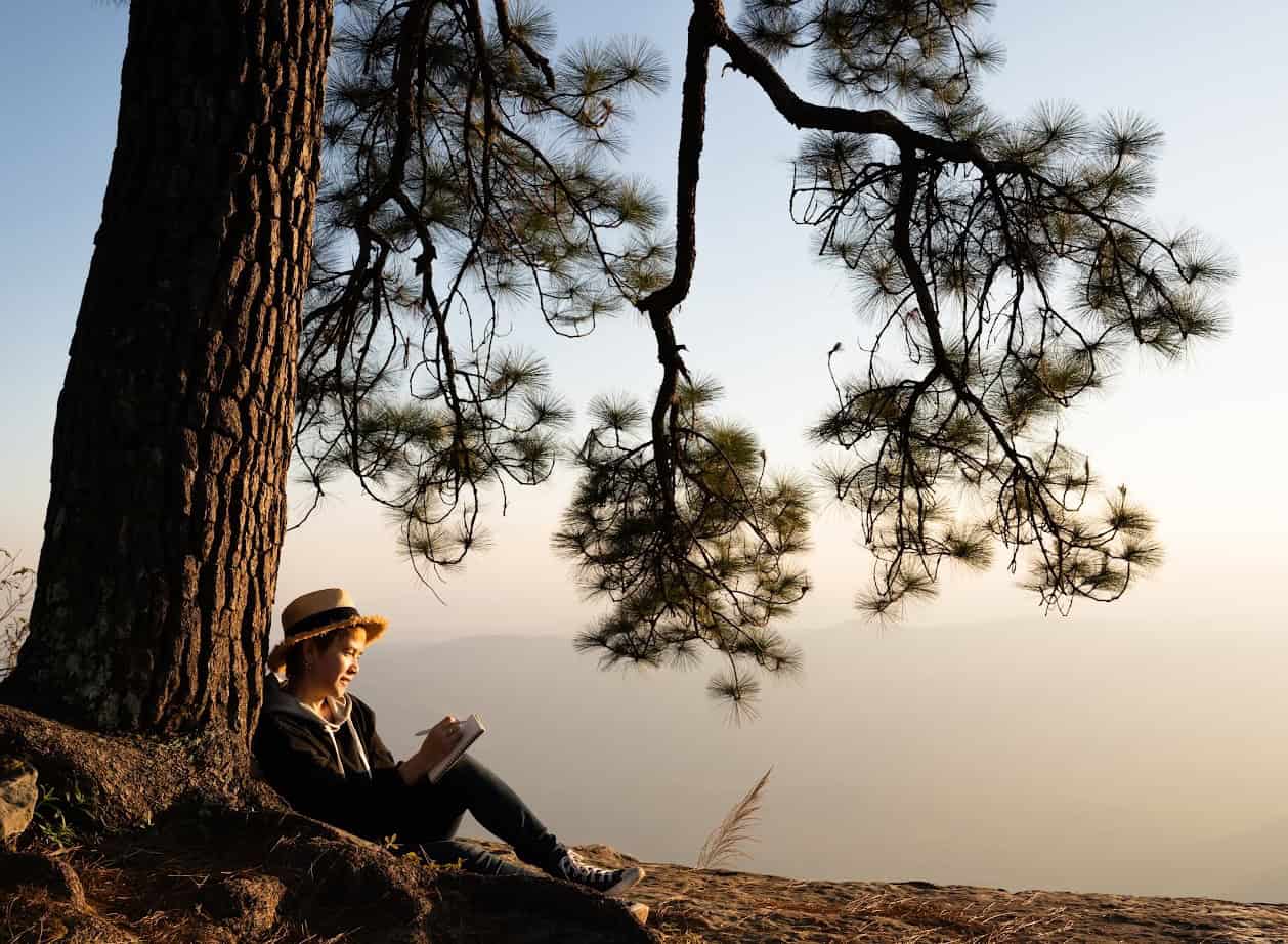 The Writing Tree - Christy Johnson